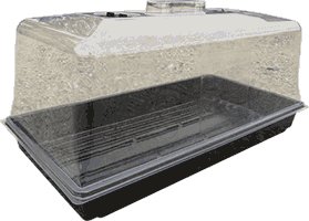 Super Dome Propagation Dome and Tray | Clone Successfully
